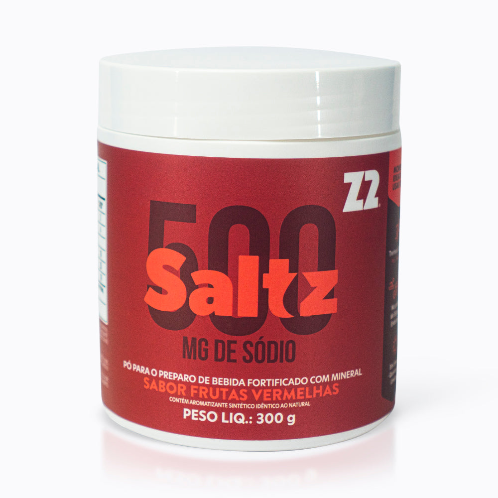 Saltz 500 Z2 Frutas Vermelhas | Pote 300g – Z2 B2B Market